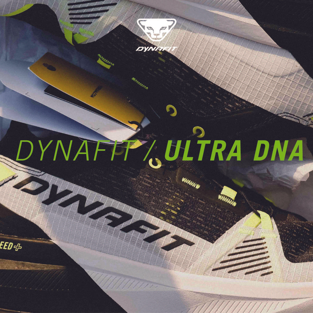 PHOTO ALBUM : DYNAFIT กับรุ่น ULTRA DNA รองเท้าเทรลระยะอัลตร้า – RUNNERCART