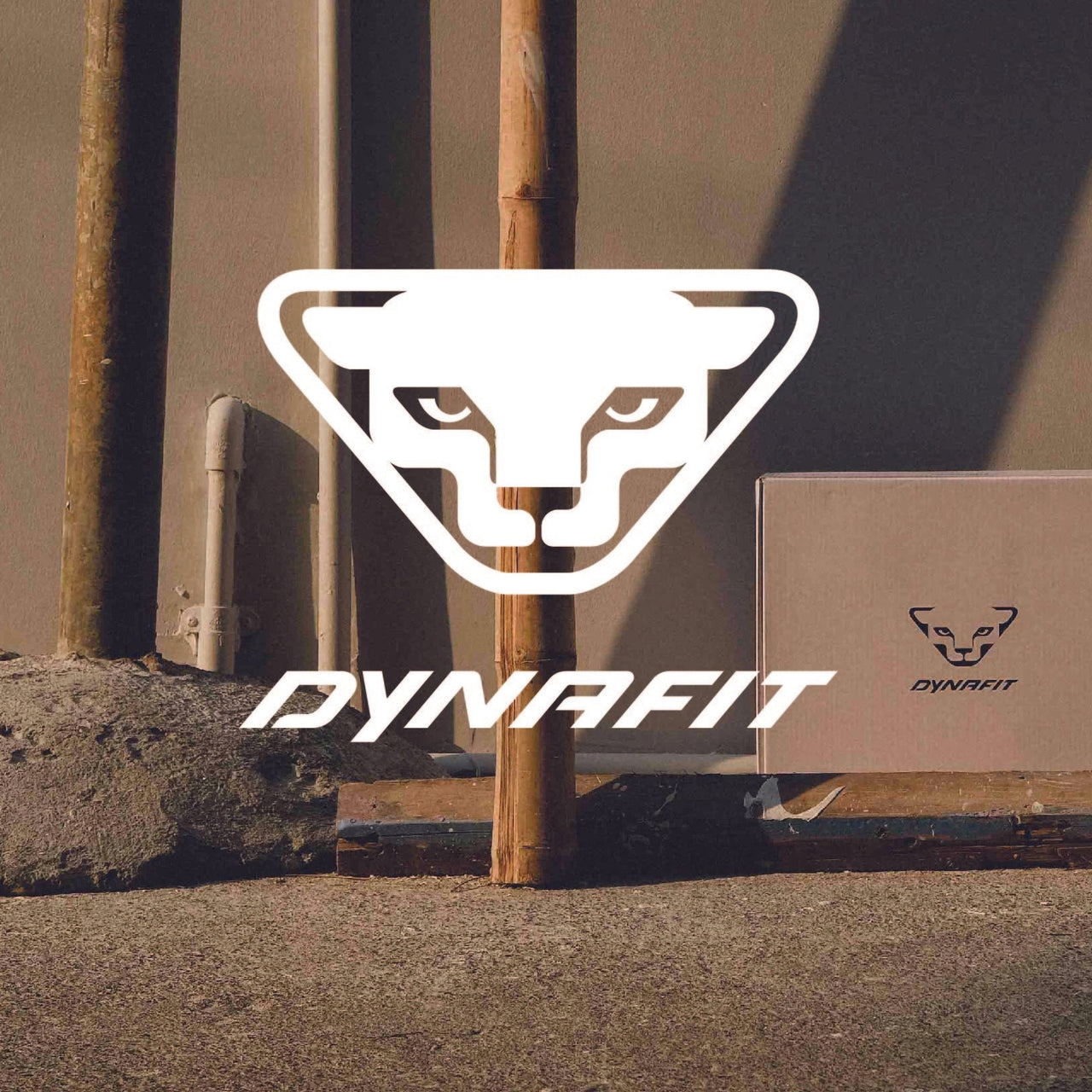 Promotion – RUNNERCART